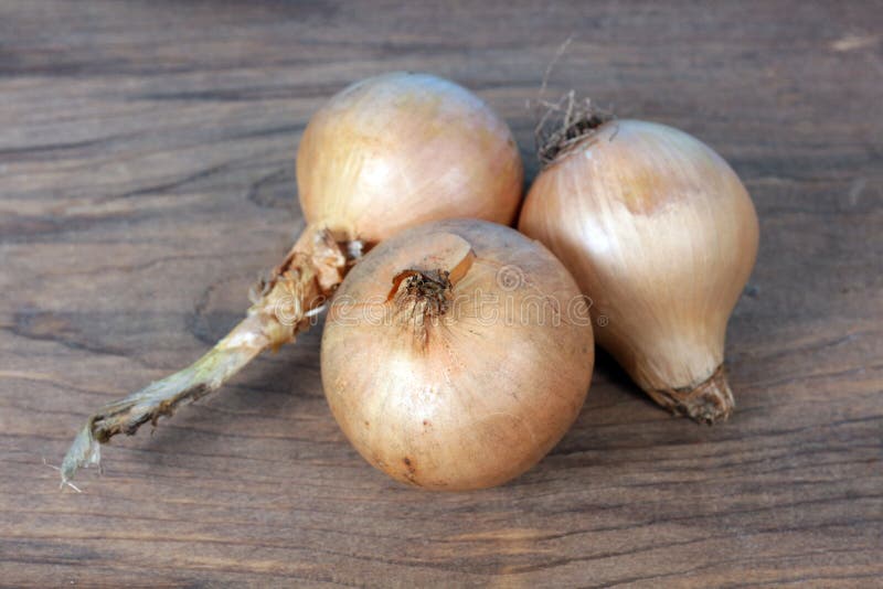 Dried onion stock photo. Image of food, healthy, market - 30907070