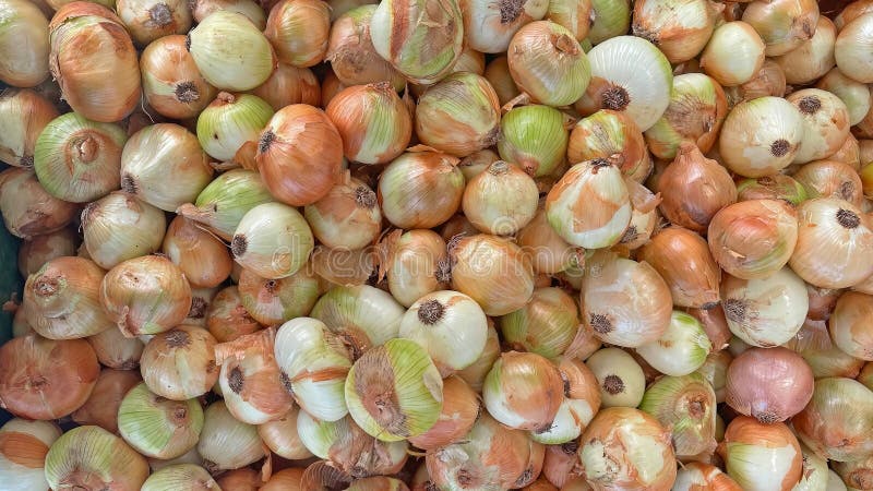 Dried Onions from the Market Stock Photo - Image of food, fresh: 352565712