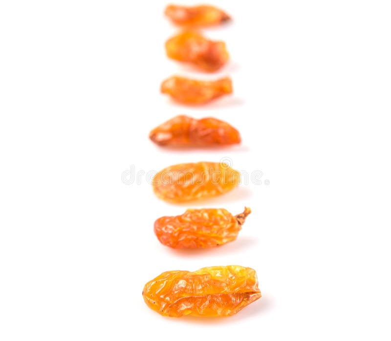 Dried Orange Colored Raisin VI Stock Image - Image of organic ...