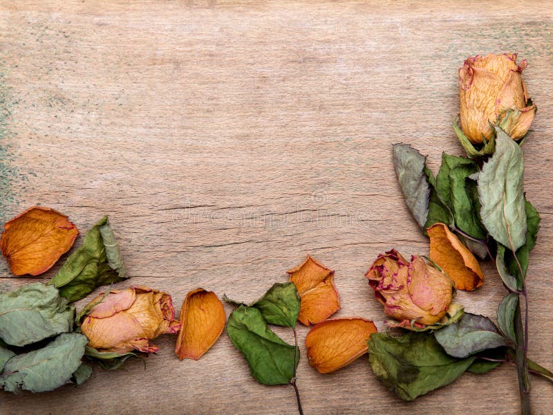 Dried Orange Roses on Old Wooden Background Stock Illustration ...