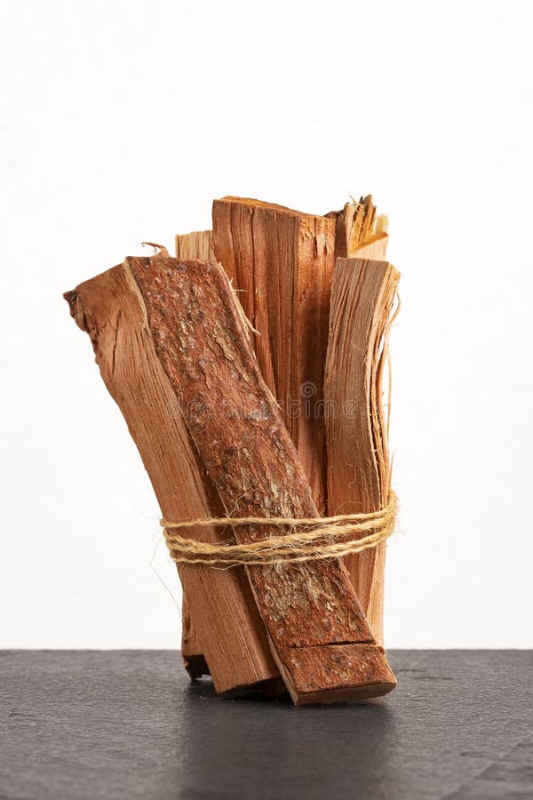 Dried Organic Chaparro Sticks - Castela Texana Stock Image - Image of ...