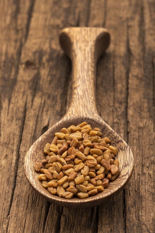 Trigonella Foenum-graecum - Dried Organic Fenugreek Seeds in the Spoon ... Trigonella Foenum-graecum - Dried Organic Fenugreek Seeds in the Spoon ...