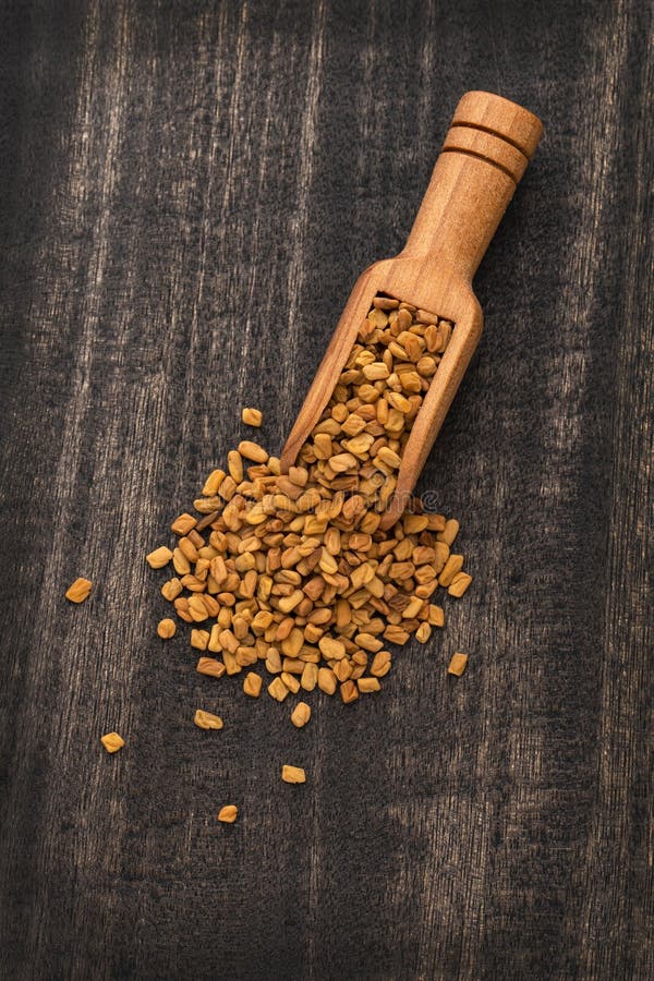Trigonella Foenum-graecum - Dried Organic Fenugreek Seeds in the Spoon ... Trigonella Foenum-graecum - Dried Organic Fenugreek Seeds in the Spoon ...
