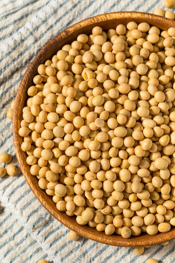 Dried Organic Soy Beans stock image. Image of grain - 306558593