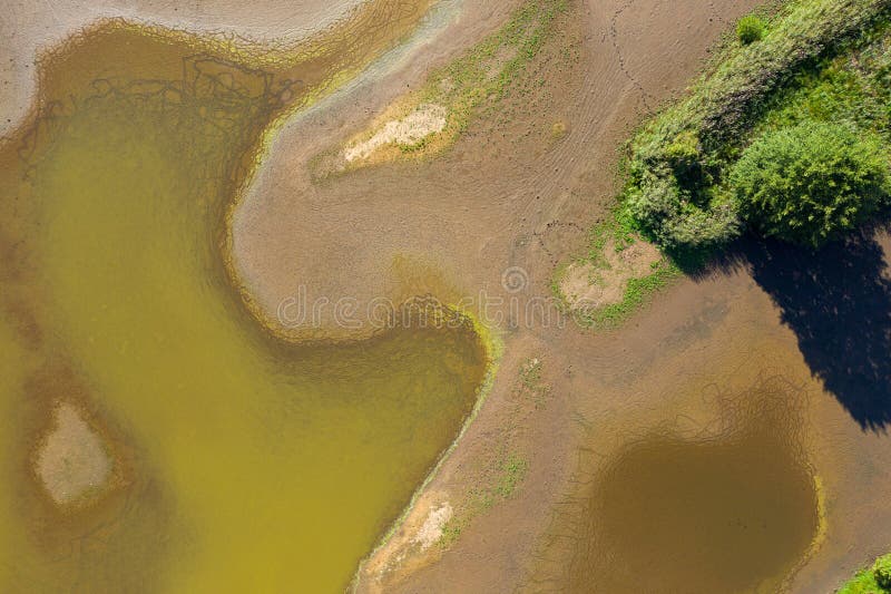 Dried out forest lake stock image. Image of aerial, dryness - 189522911