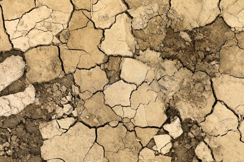 Dried Out Soil Drought Drought Stock Image - Image of earth, global ...