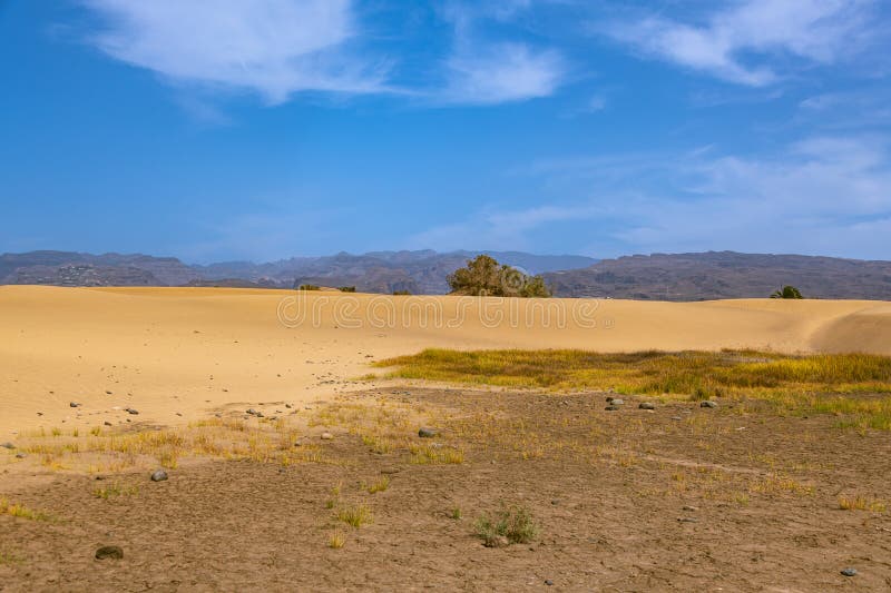 Dried Out Wet Area in the Dunes Stock Photo - Image of maspalomas ...