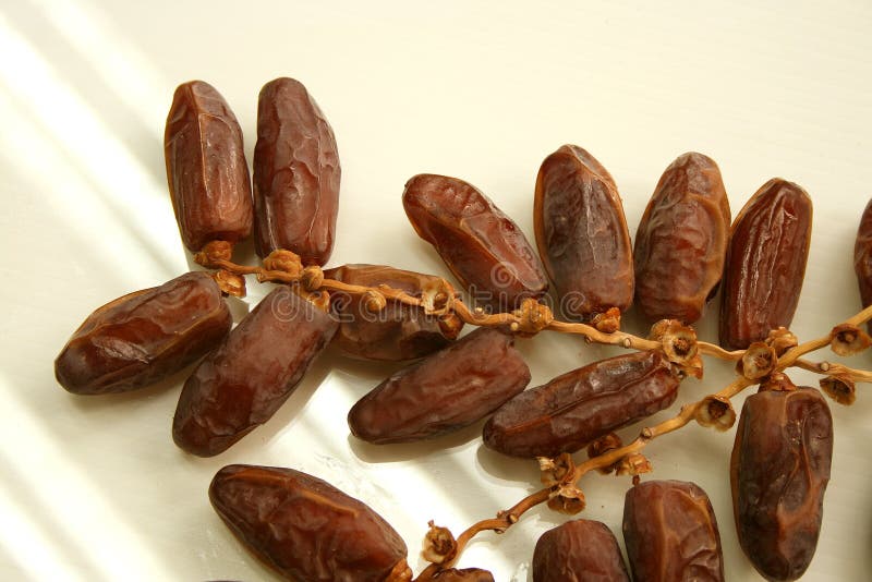 Dried Palm dates stock image. Image of fruiting, ripening - 78063261