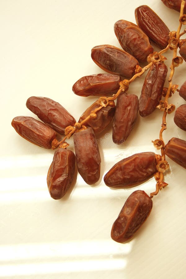 Dried Palm dates stock image. Image of branches, golden - 78063317