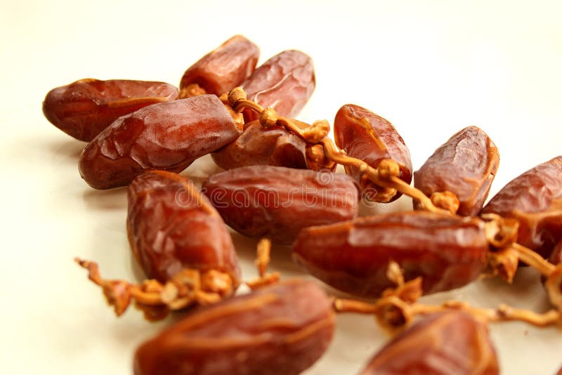 Dried Palm dates stock photo. Image of branches, trees - 78063062