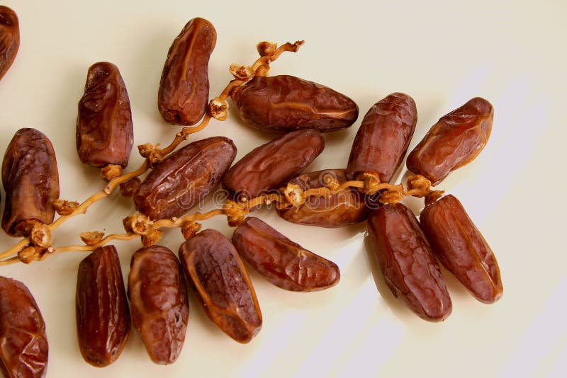 Dried Palm dates stock image. Image of fruiting, ripening - 78063261