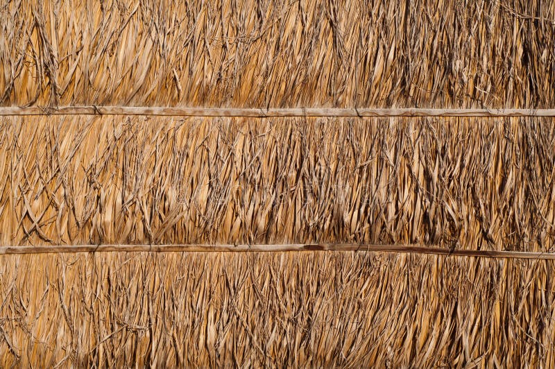 346 Dried Palm Leaf Wall Texture Stock Photos - Free & Royalty-Free ...