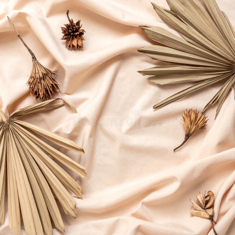 Dried Palm Leaves and Flowers on Beige Fabric Stock Illustration - Illustration of relaxing ...