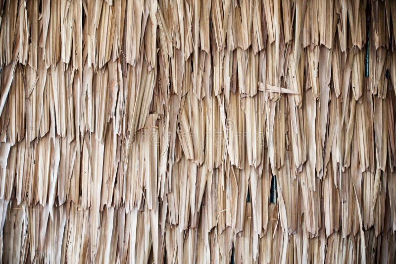 Texture of thatch roof stock image. Image of architecture - 30661297