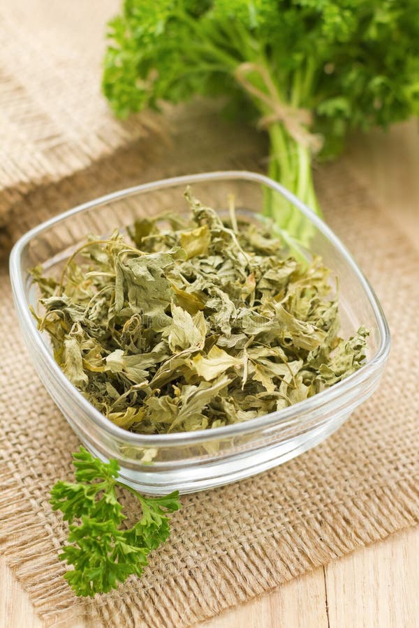 Dried parsley stock photo. Image of aromatic, closeup - 27026318