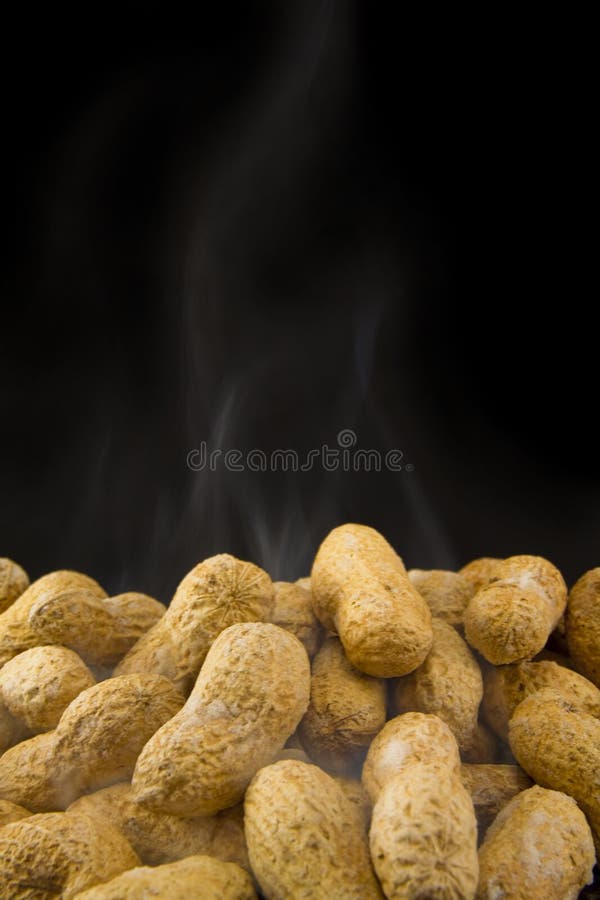 Dried Peanuts stock image. Image of cooking, roasted - 28874589