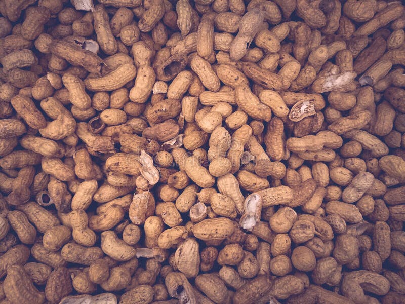 Dried Peanuts in Pods on the Store Shelf in Light Focus Stock Image ...