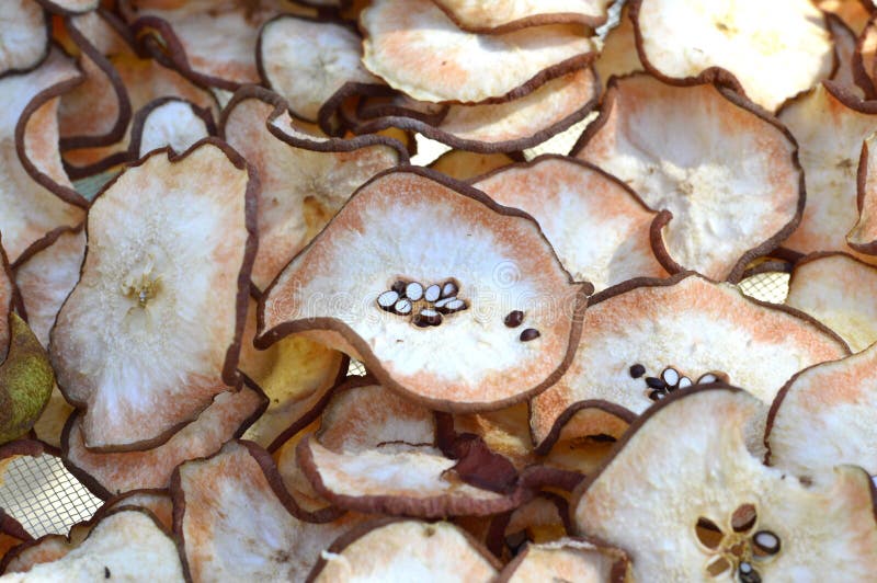 Dried pear. stock image. Image of preserved, farming - 44805677