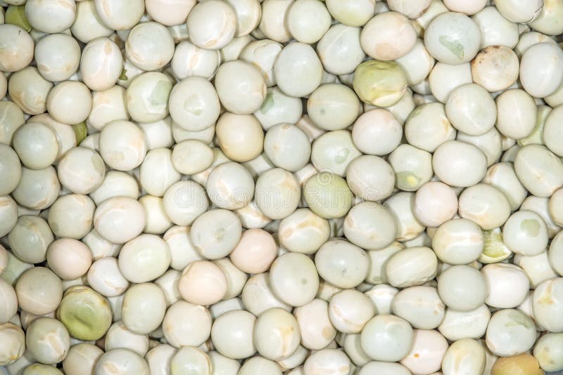 Dried peas stock image. Image of round, eating, close - 41929765