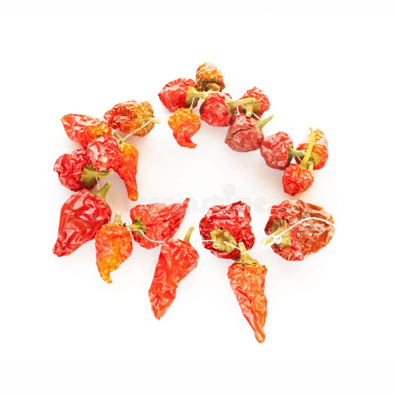 Dried Pepper Strung on a String on White Background Stock Image - Image ...