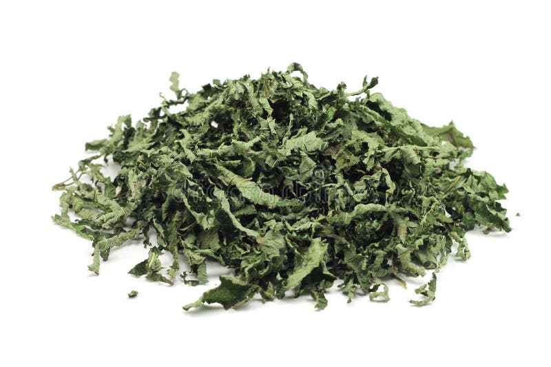 Dried peppermint leaves stock photo. Image of lekarstennye - 72865544