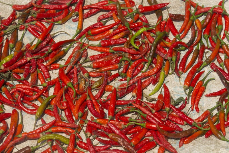 stock image. Image of flavoring, cayenne, heat, flavor - 252483639
