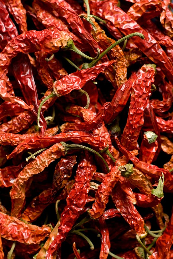 The dried peppers closeup stock photo. Image of morsel - 47349476