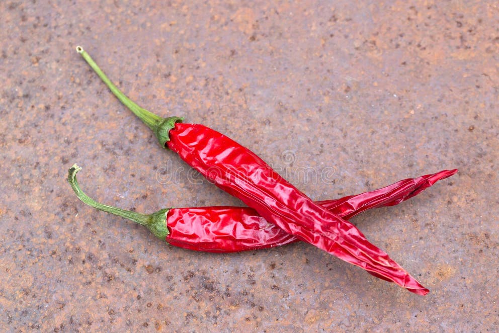 Dried Peppers on a Rusty Table Stock Image - Image of chile, hottest ...