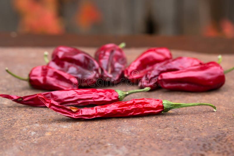 Dried Peppers on a Rusty Table Stock Photo - Image of ingredient ...