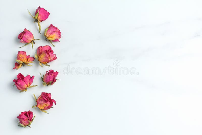 Roses on the Side of the Road Stock Image - Image of love, produce ...