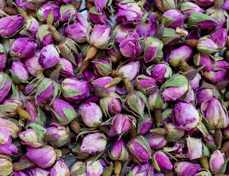 Dried pink roses tea stock photo. Image of drink, fresh - 186767928