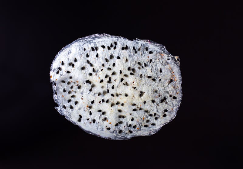 Dried pitaya slices stock image. Image of healthy, white - 136797487