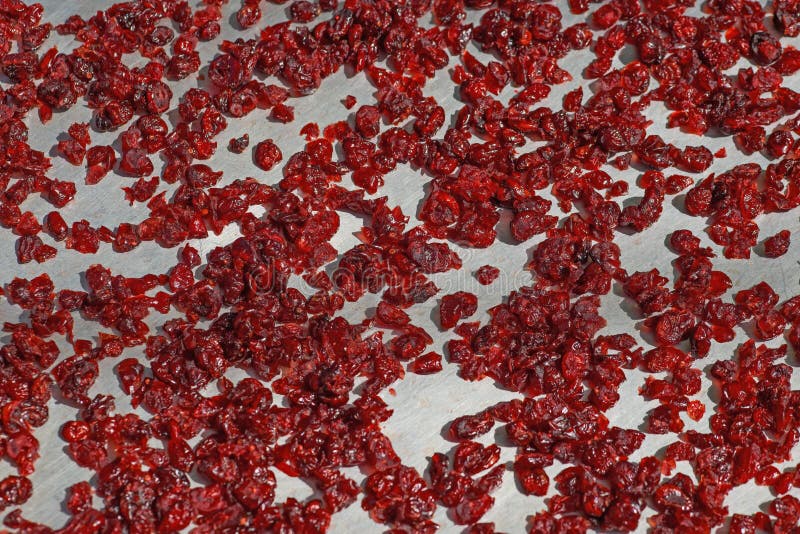 Dried pitted Chinese date stock image. Image of pitted - 227805057