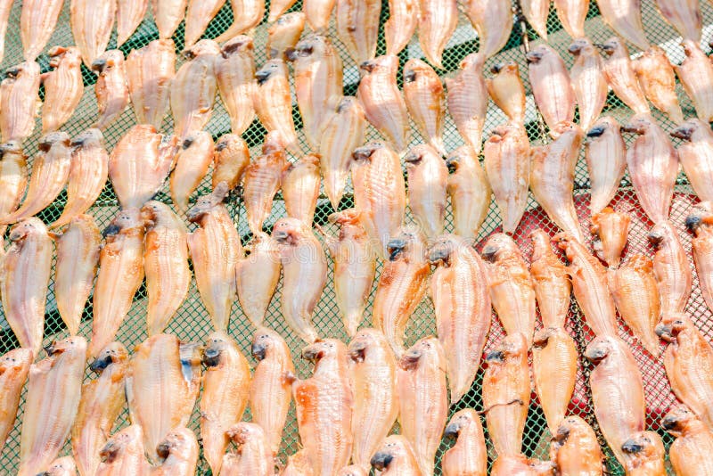 Dried Pollack on the Cage stock image. Image of breakfast - 264833775