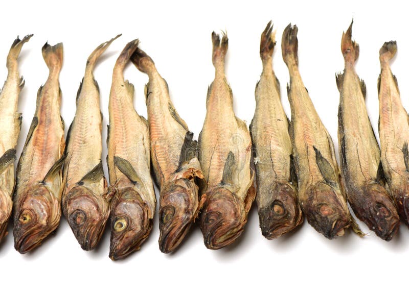 Dried Pollack stock image. Image of horizontal, drink - 111684477