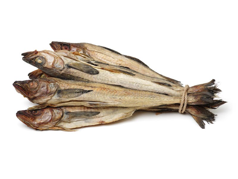 Dried Pollack stock photo. Image of close, community - 146678736