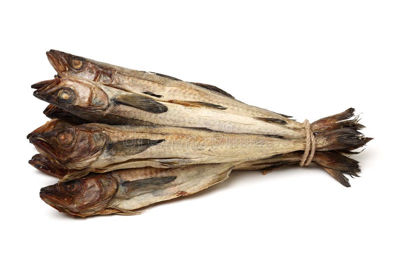 Dried Pollack stock photo. Image of fish, korea, british - 145363256