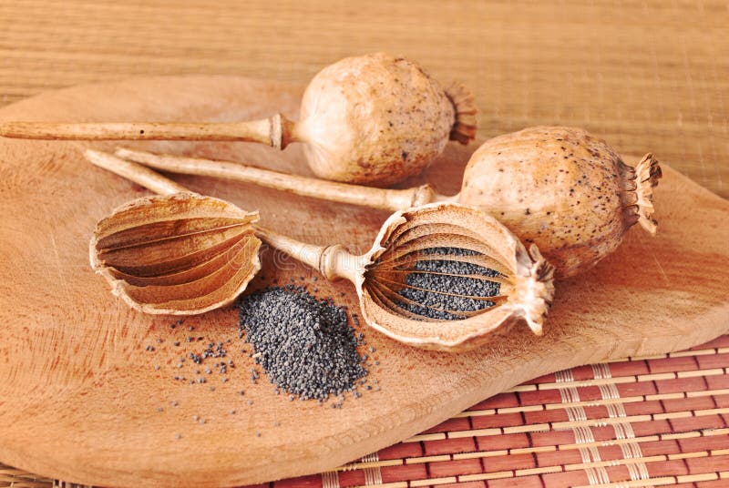 Autumn Boll Poppy Stock Photos - Free & Royalty-Free Stock Photos from ...