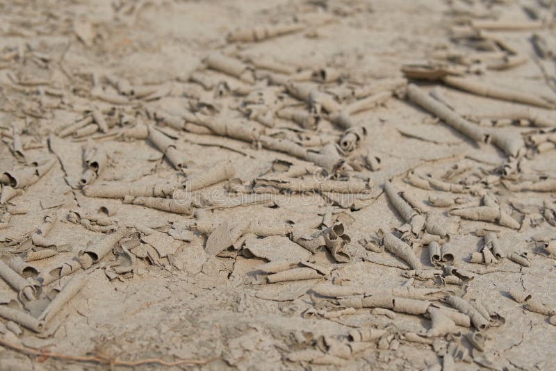 Dried puddle stock image. Image of drought, soil, ecosystem - 196251091