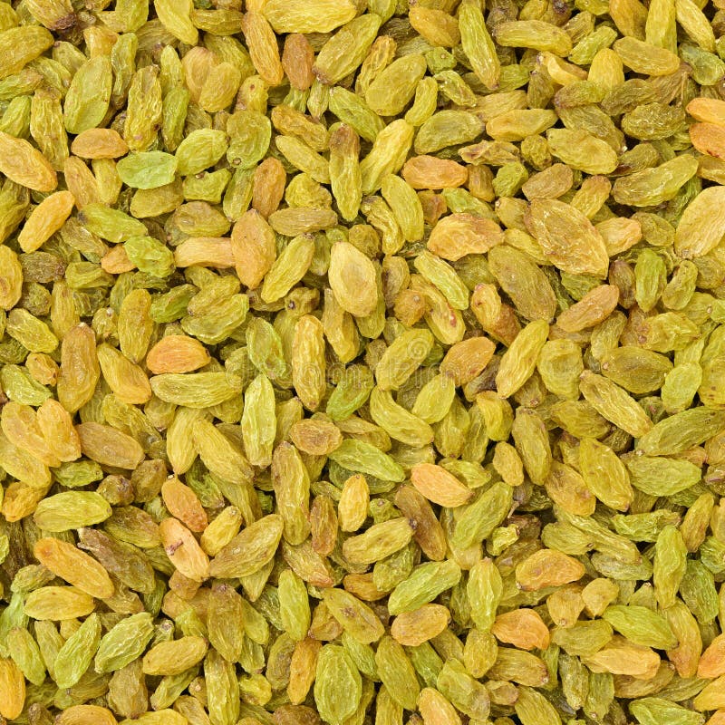 Dried raisin stock photo. Image of raisin, orange, abstract - 67447732