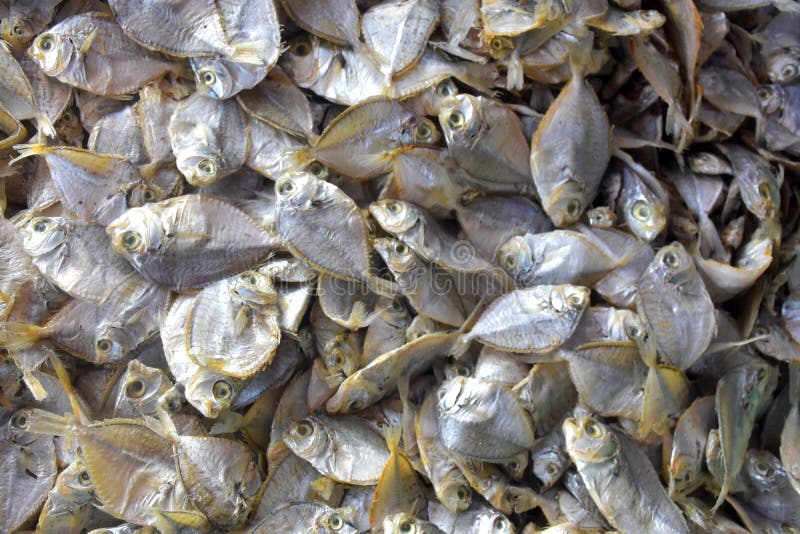 Dried raw round fish stock photo. Image of food, dehydrated - 89139110