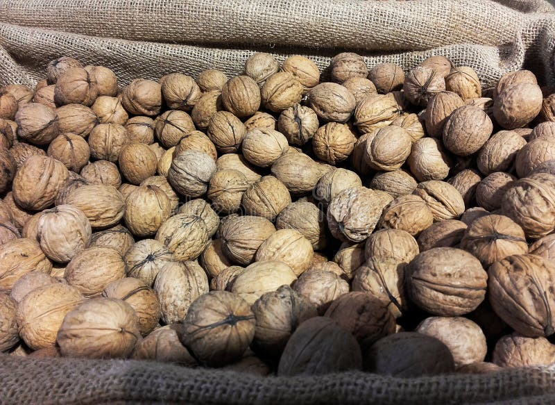 Dried Raw Walnut in Shell Close-up Stock Image - Image of nuts, close ...