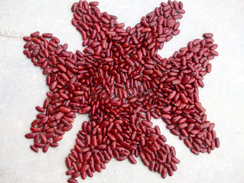 Dried red beans stock photo. Image of bean, group, isolated - 42085504