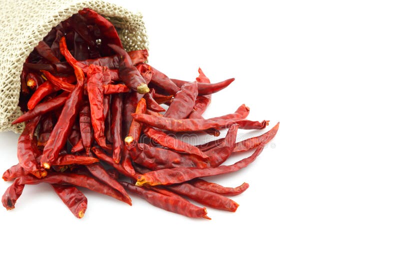 Dried Red Chili Isolated on White Background Stock Image - Image of ...
