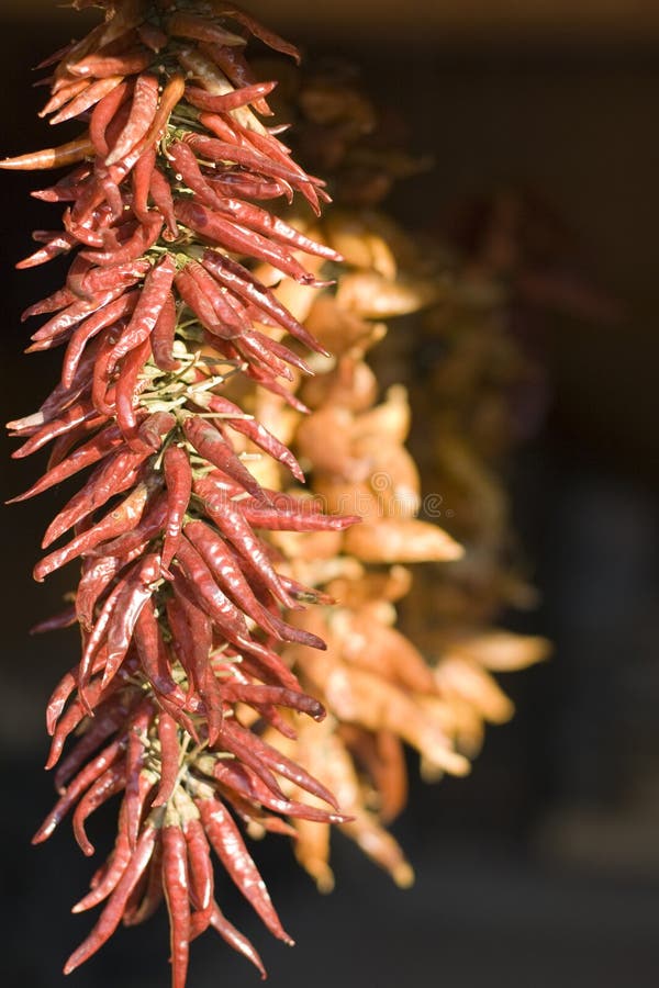 Dried red chili pepper stock photo. Image of ingredients - 33583470