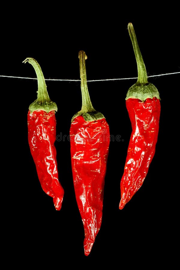 Dried red chili peppers stock image. Image of kitchen - 3630153