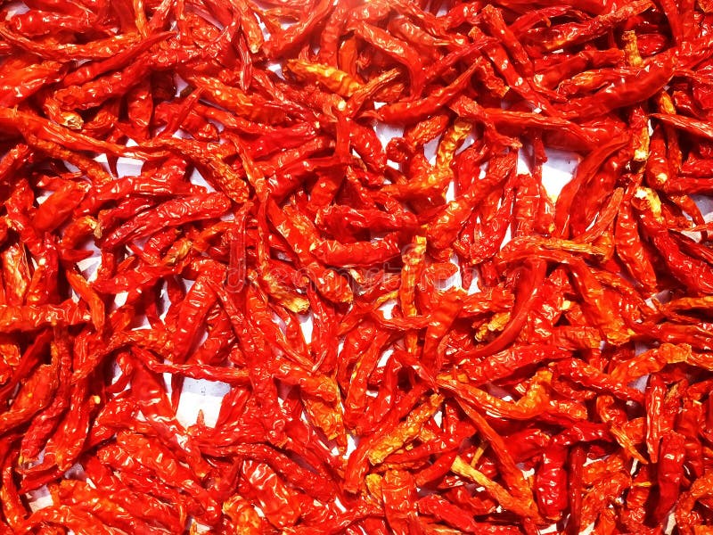 Dried red chill stock image. Image of plant, cayenne - 91644061