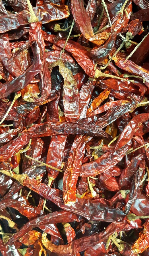 Dried red chilli stock image. Image of cuisine, seafood - 182849209
