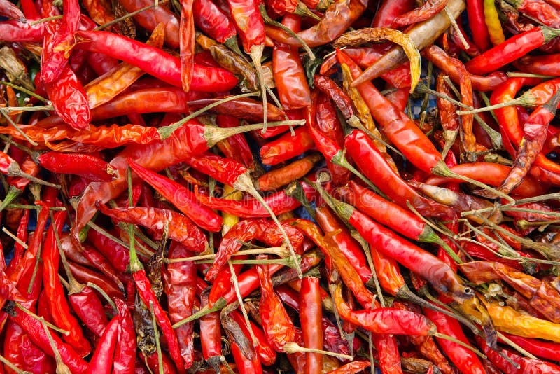 Dried Red Chilli Background Stock Image - Image of colors, seasoning ...