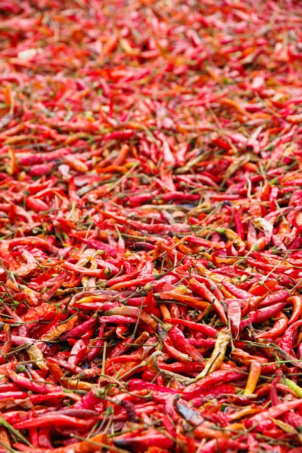 Dried Red Chilli Background Stock Image - Image of nature, market: 51822643